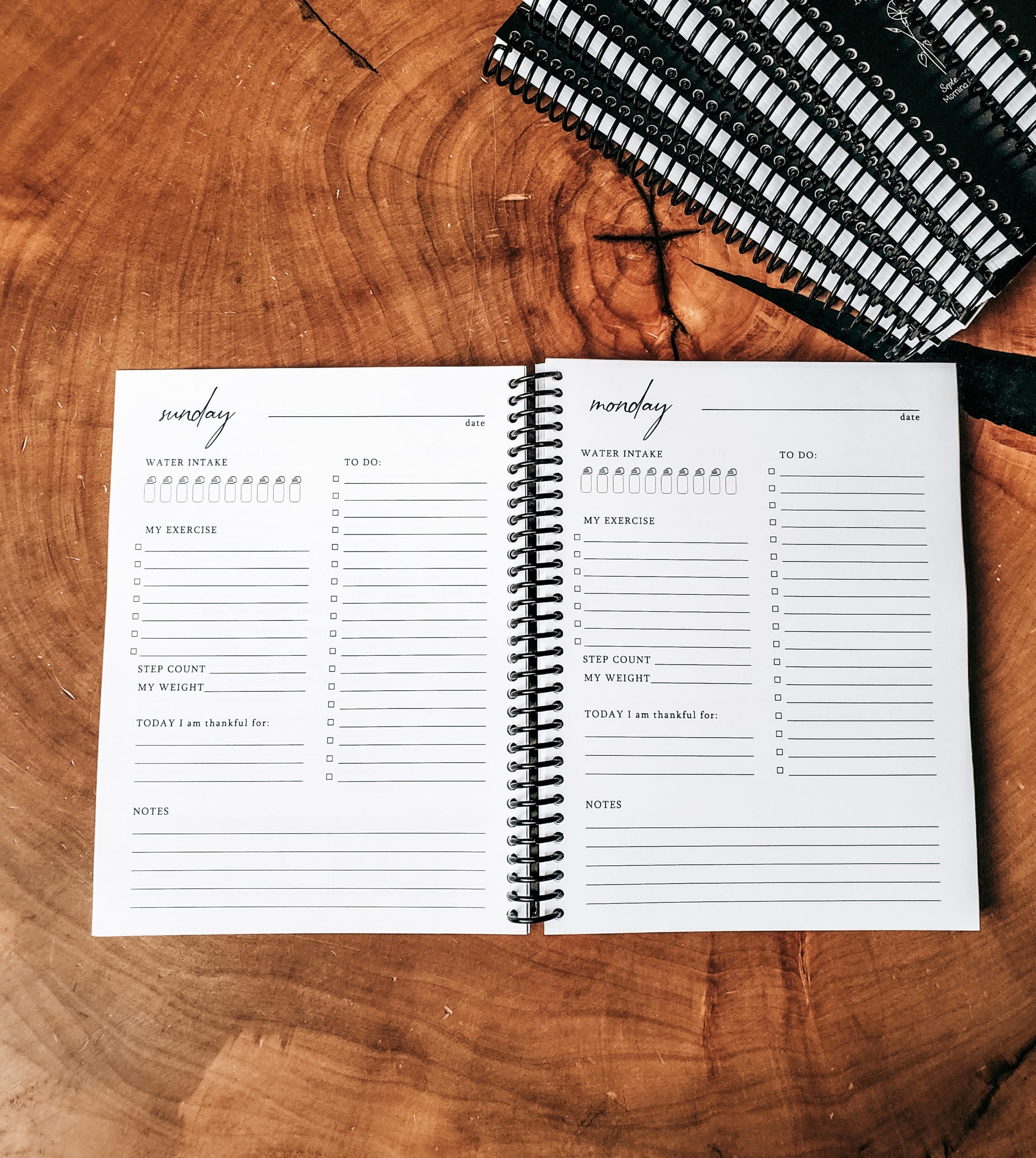 Six-Month Daily Planner | Springhouse Creative