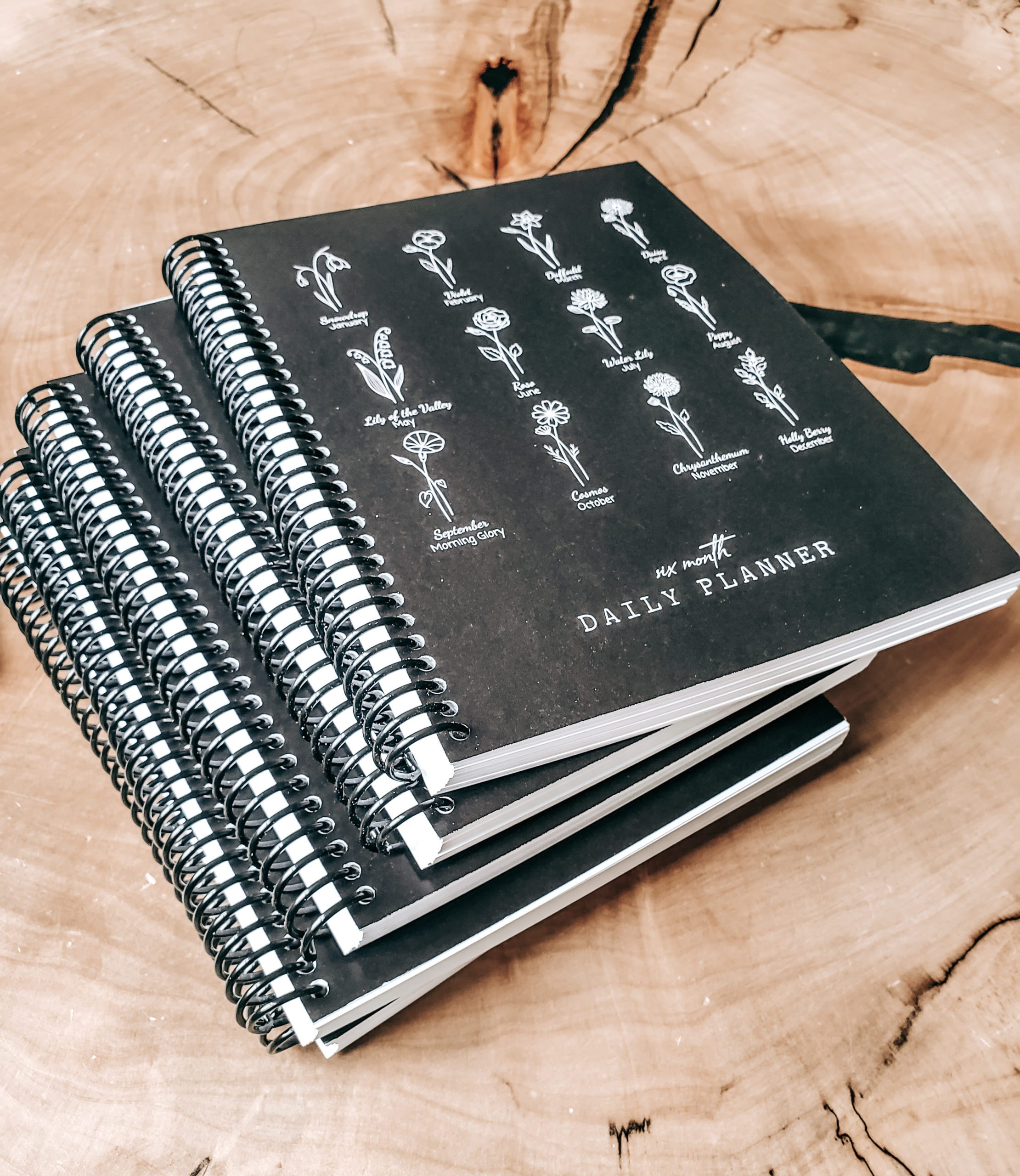 Six-Month Daily Planner | Springhouse Creative