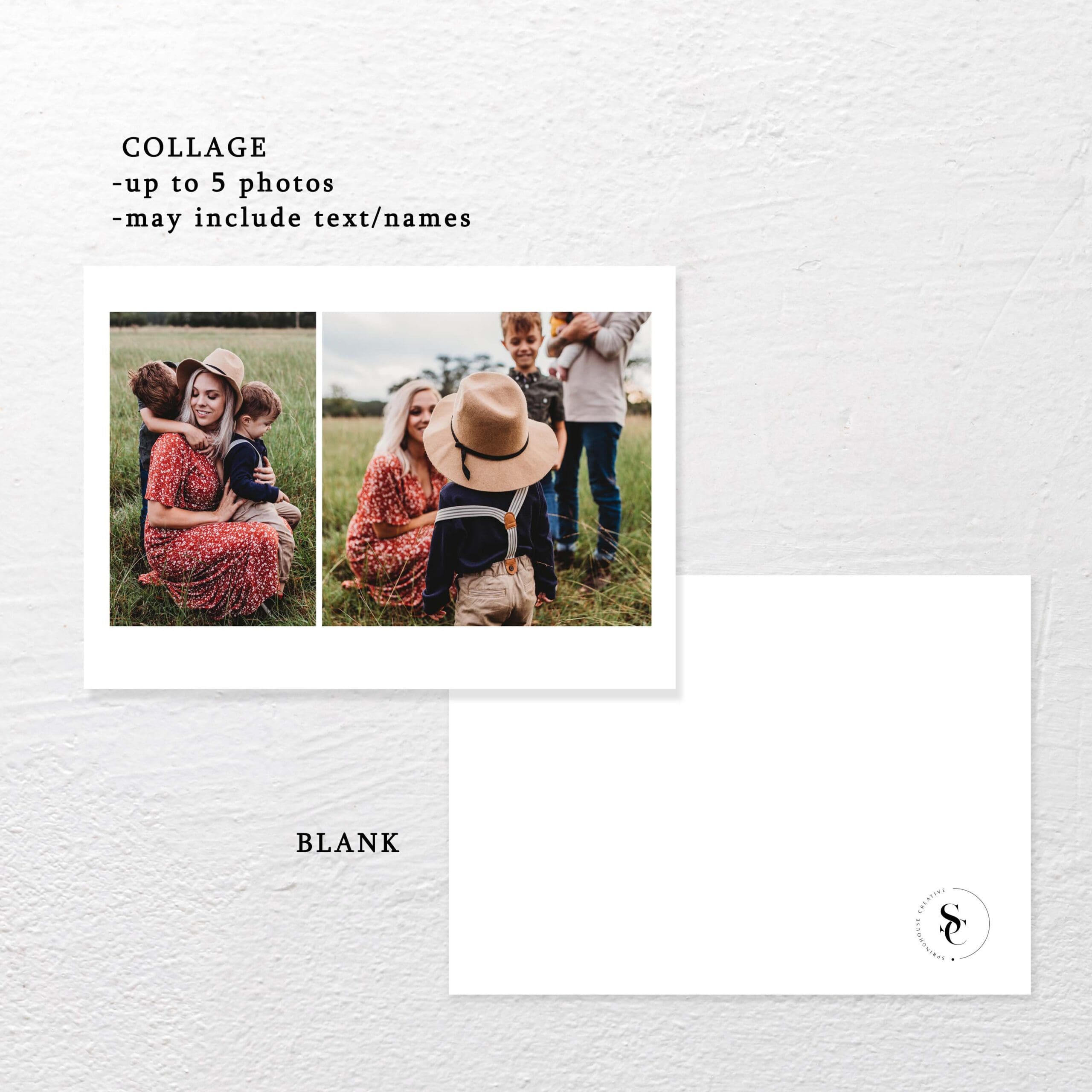 Box Text | Springhouse Creative