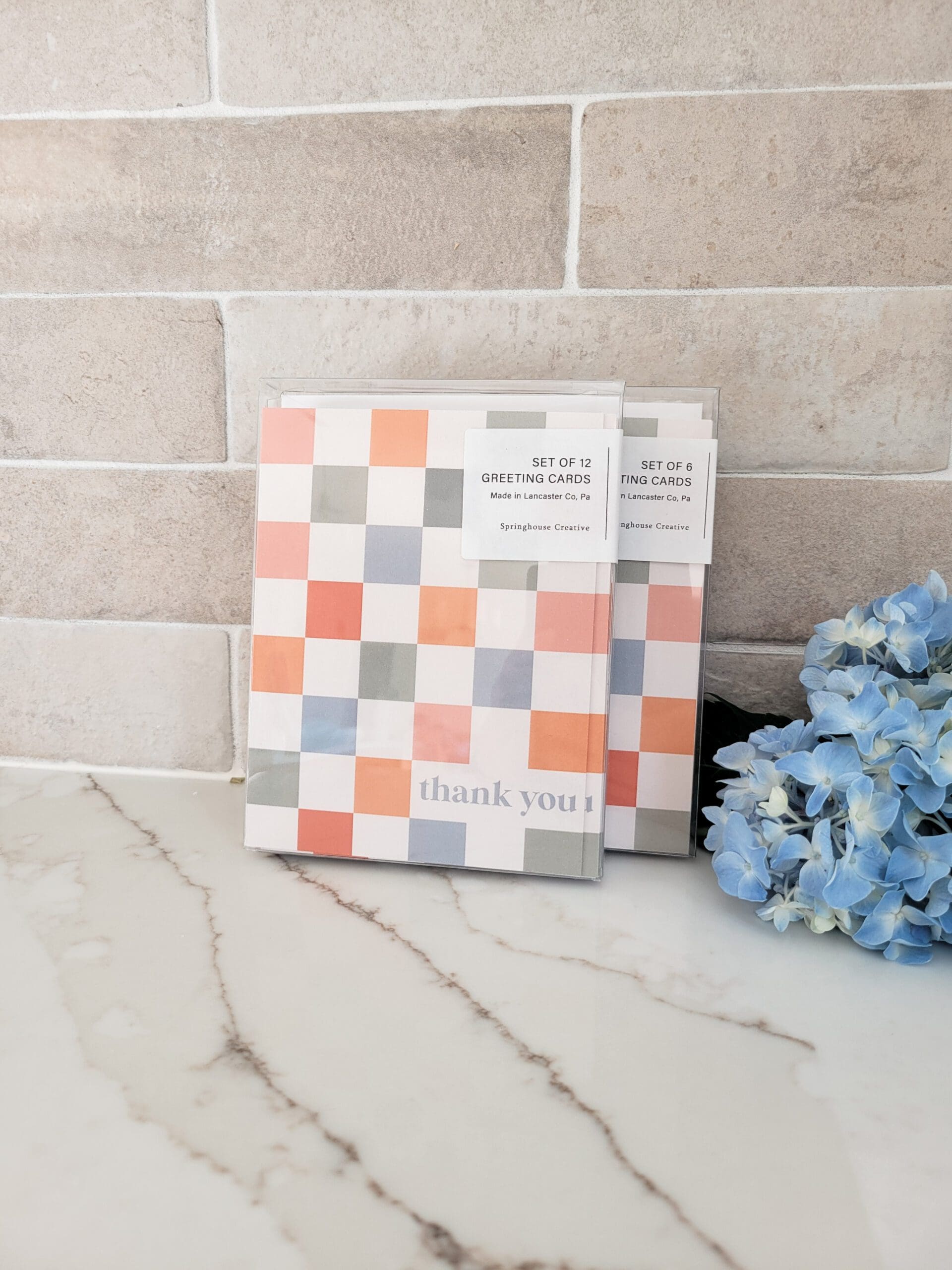 Colorful Check - Set of 12 | Springhouse Creative